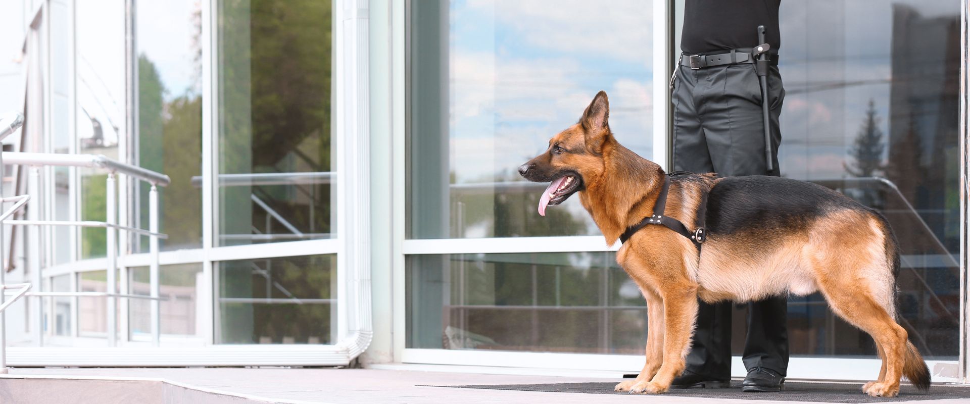 Delta Security Force Sdn. Bhd. | Security Services